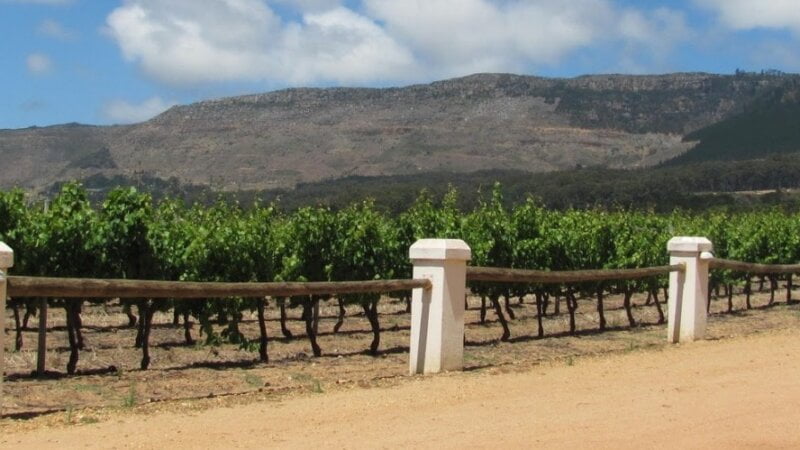 Constantia Uitsig Wine Estate | FARMSynergy